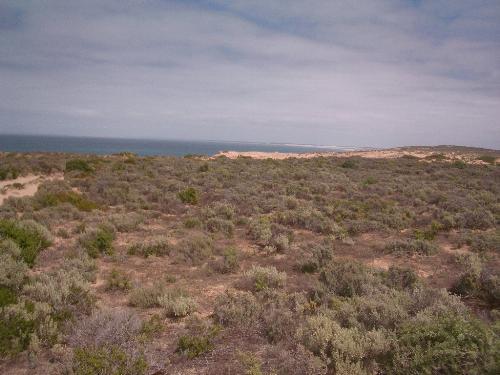 Ceduna SA - Land for Sold - owner.com.au