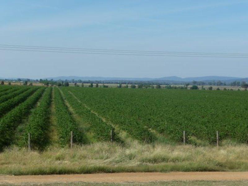 Billimari NSW - Other for Sold - owner.com.au