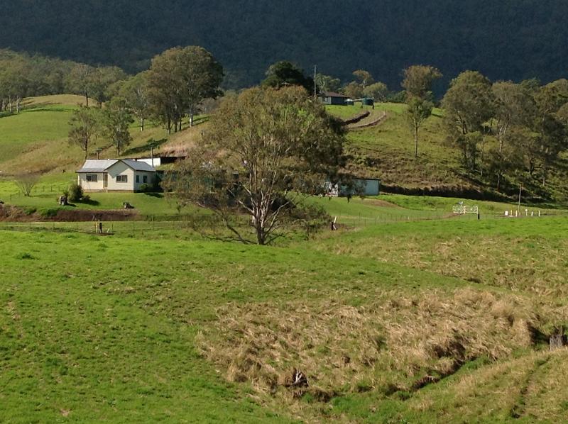 Kyogle NSW - Livestock for Sold - owner.com.au