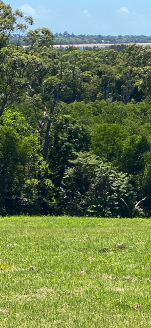 116 Fig Tree Beach Road Midgeree Bar QLD 4852 - Lifestyle for Sale ...