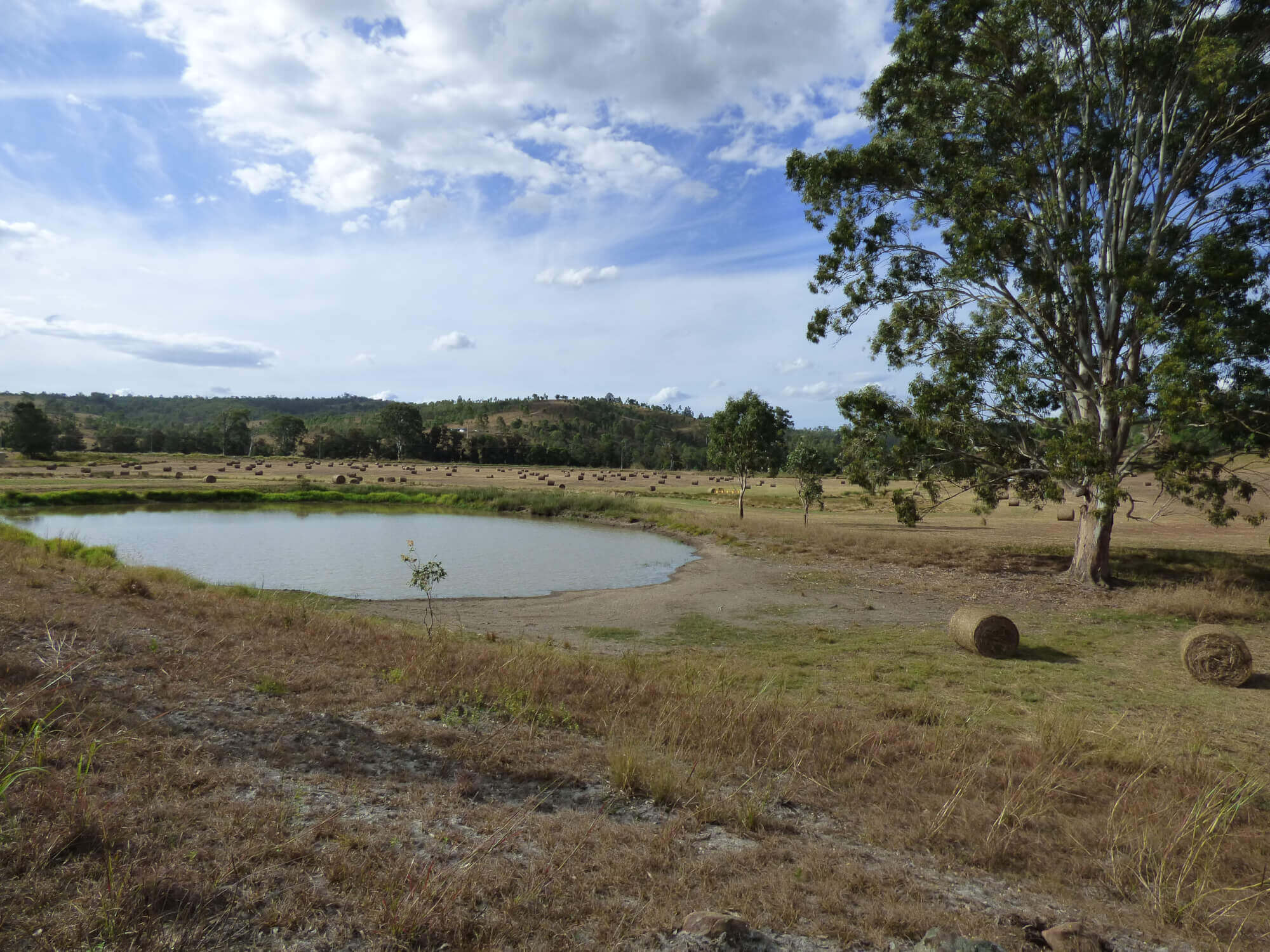 Lot 21 Kooralbyn Road Laravale QLD 4285 - Farmlet for Sold - owner.com.au