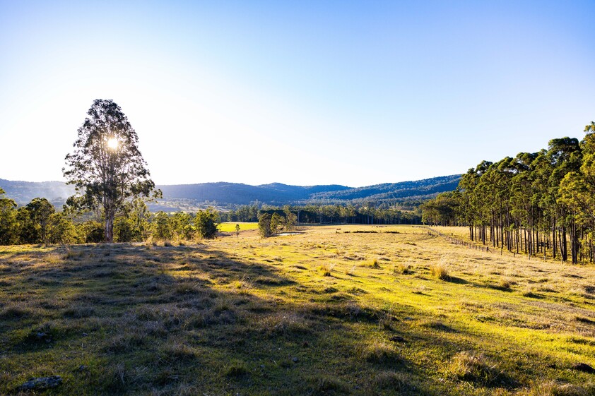 Bonalbo NSW - Lifestyle for Sale - owner.com.au