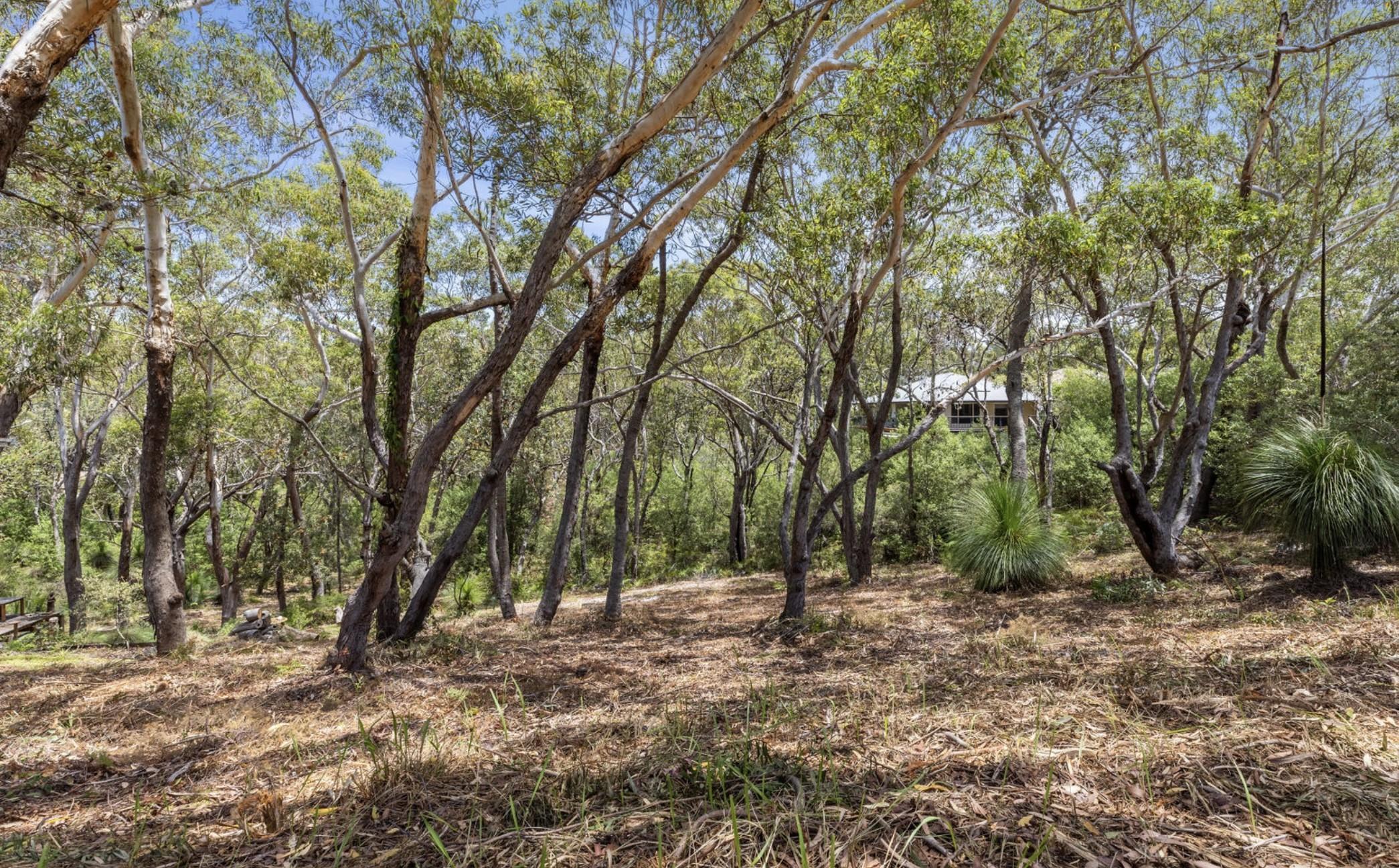 11 Birramal Drive Dunbogan NSW 2443 - Land for Sold - owner.com.au