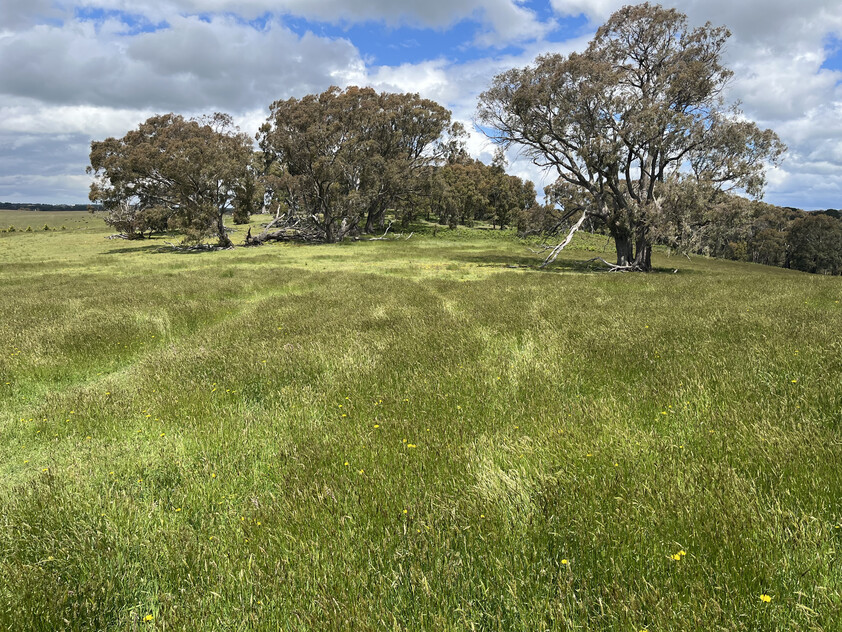 1094 Old Melbourne Road Ballan VIC 3342 - NoAgentProperty