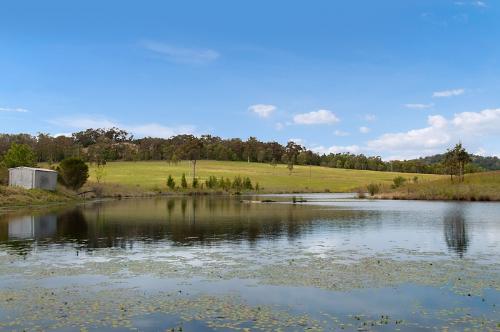 Maitland NSW - Mixed Farming for Sold - owner.com.au